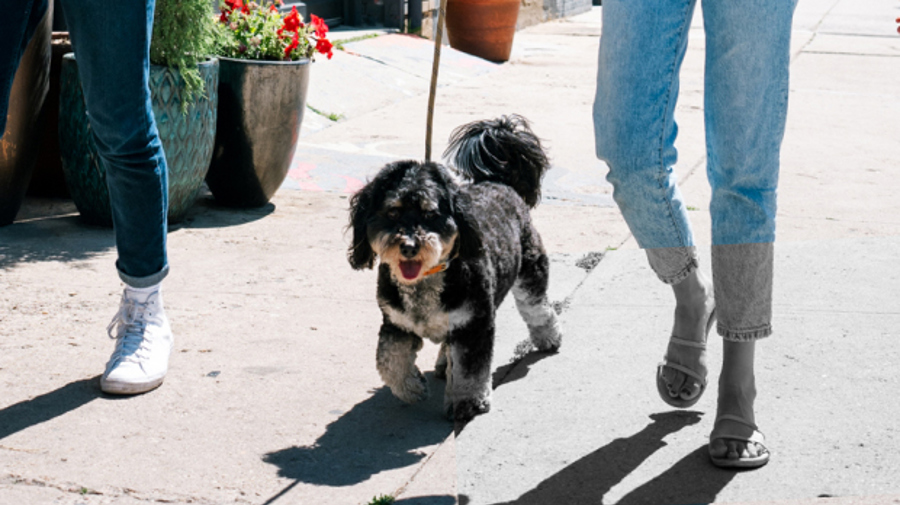 Luxury Apartments in RiNo Denver, CO | Premier Living at NOVEL RiNo